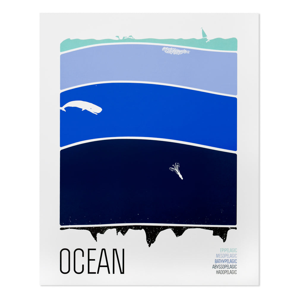 Science Collection 11" x 14" Digital Print – Neighborly